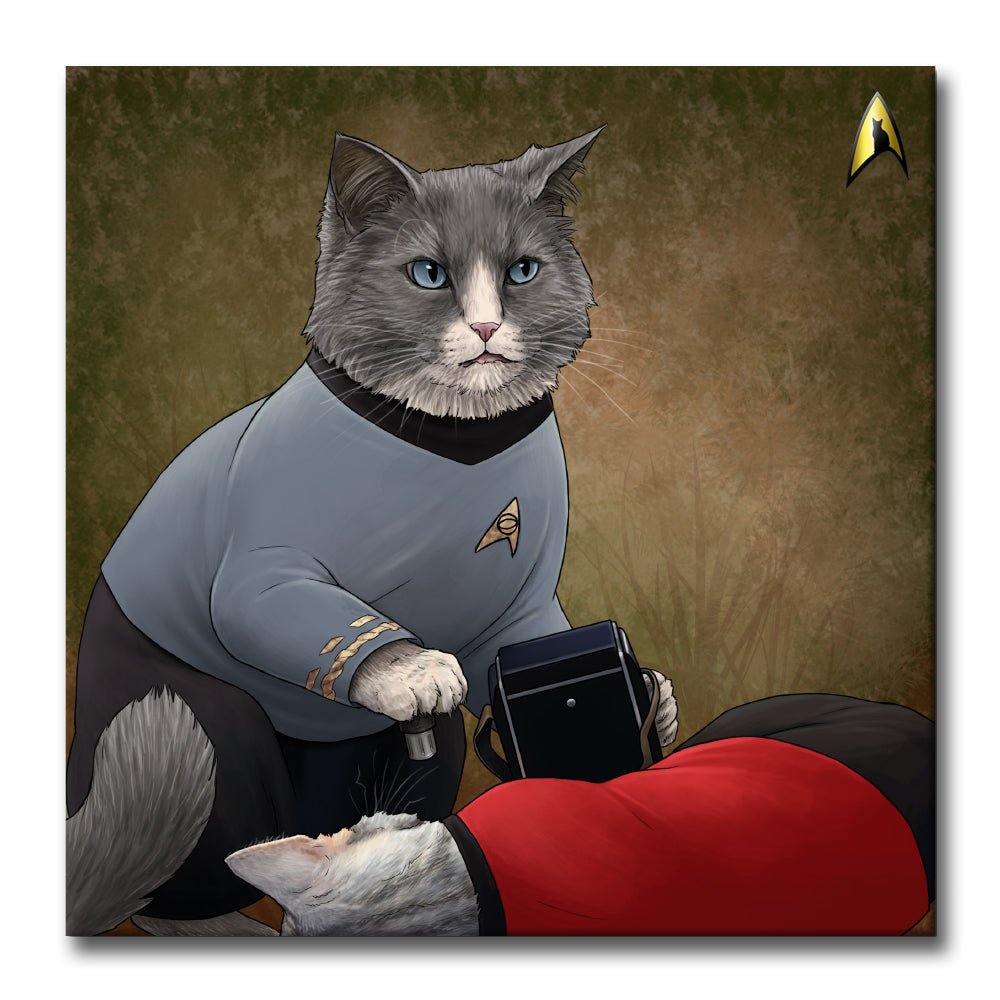Star Trek: The Original Series McCoy Cat Premium Gallery Wrapped Canvas ...