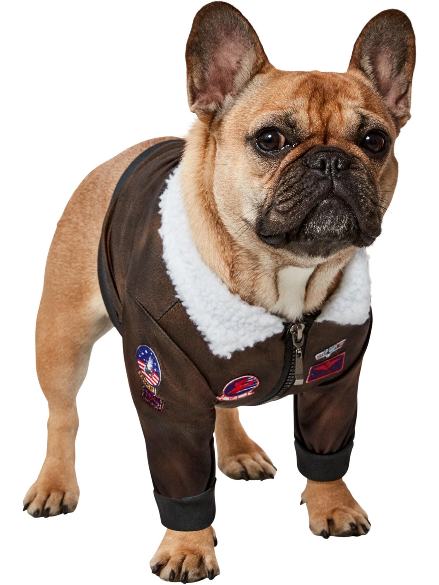 Top Gun Pet Costume – Paramount Shop
