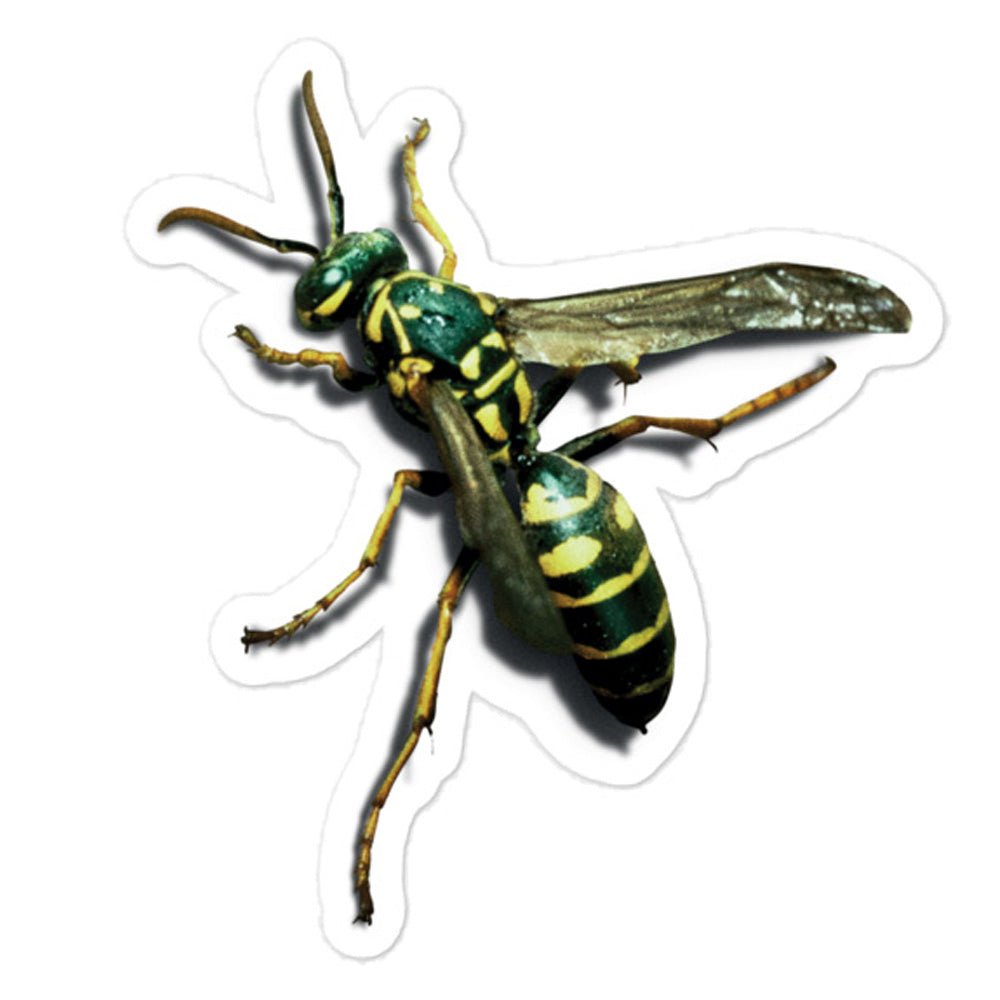 Yellowjackets Icon Die Cut Sticker – Paramount Shop